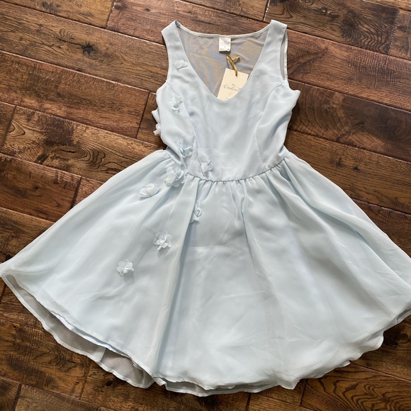 Dresses | Adult Cinderella Dress Chiffon Simple Disney Princess | Poshmark